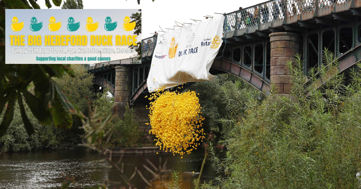 Hereford Duck Race 2024